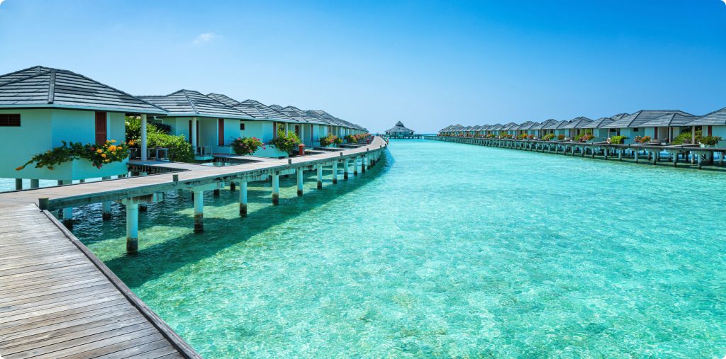 2020 Holiday Travel Hacker - Trending destinations