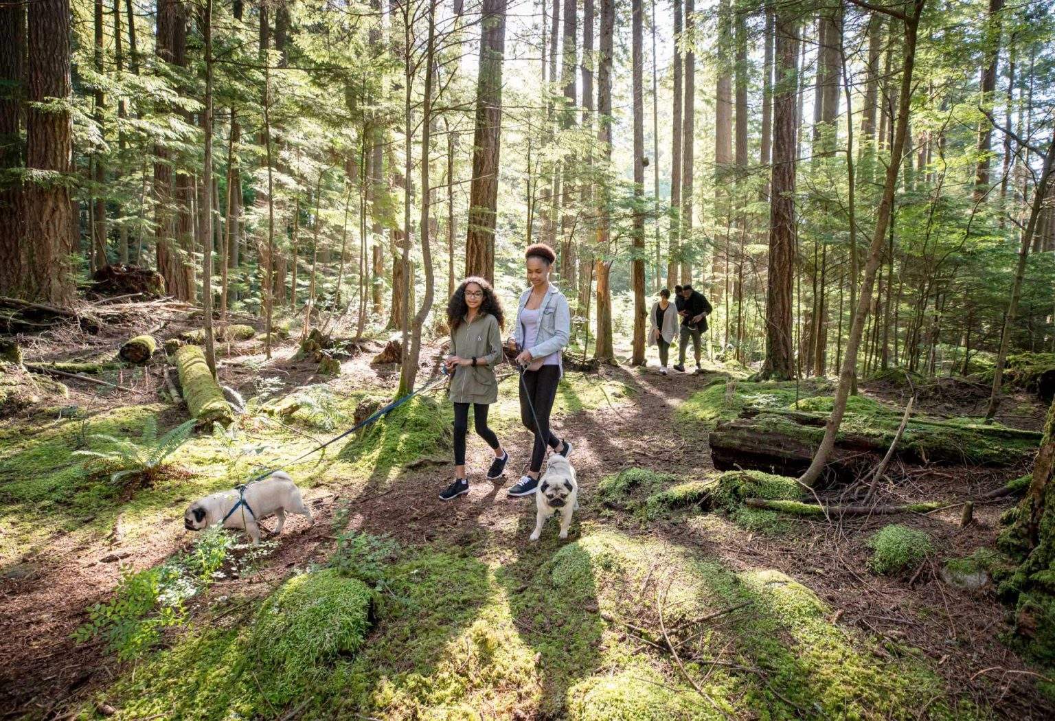 Pet Travel Playbook - KAYAK