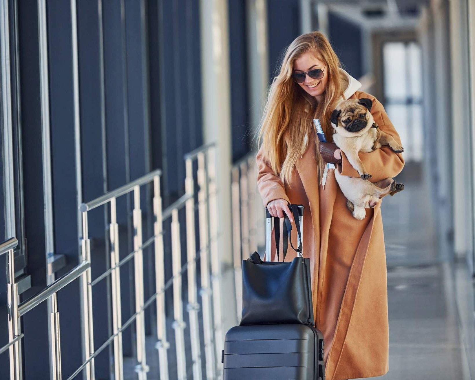 Pet Travel Playbook - KAYAK