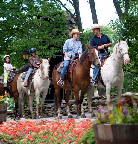 Rocking Horse Ranch Reviews - RockingHorseFun.com