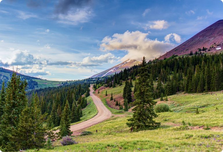 Rental car types: how to find the perfect rental car - KAYAK