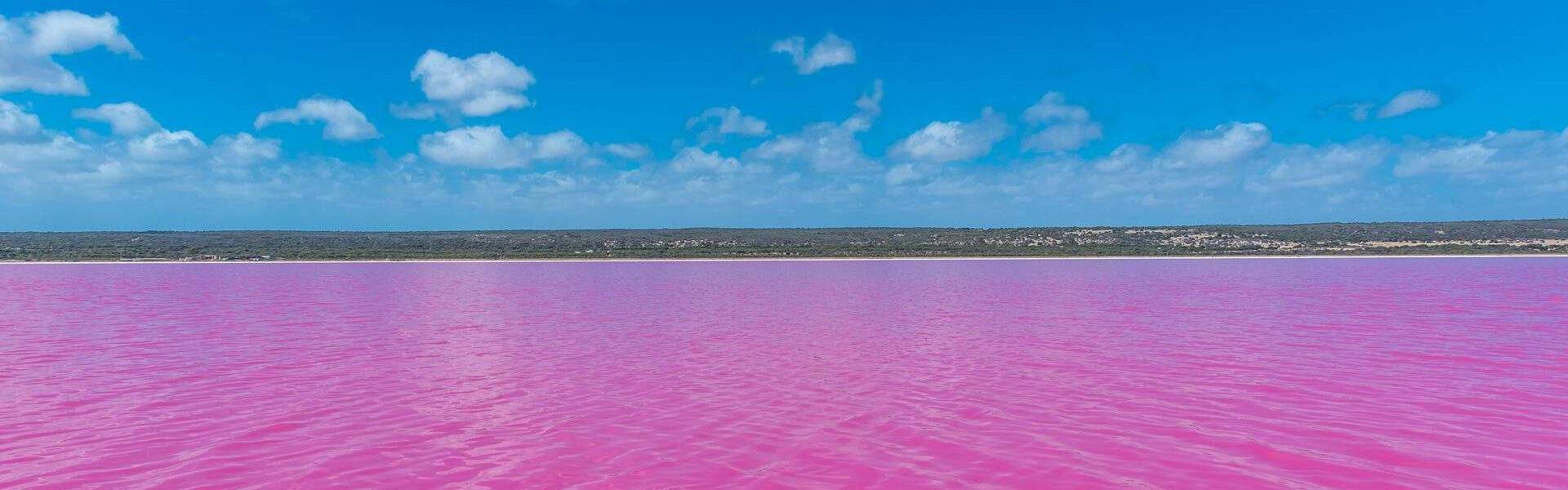 7 Pink Lakes in Australia that everyone must visit once - KAYAK