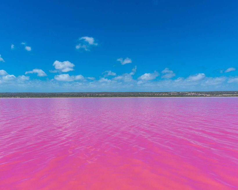 7 Pink Lakes in Australia that everyone must visit once - KAYAK