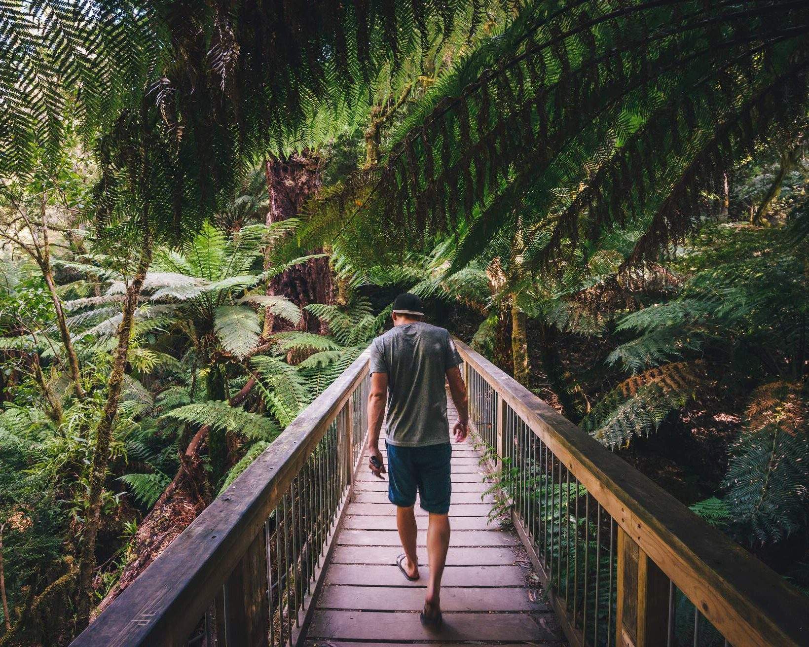 Best tips on trip while backpacking in Australia - KAYAK