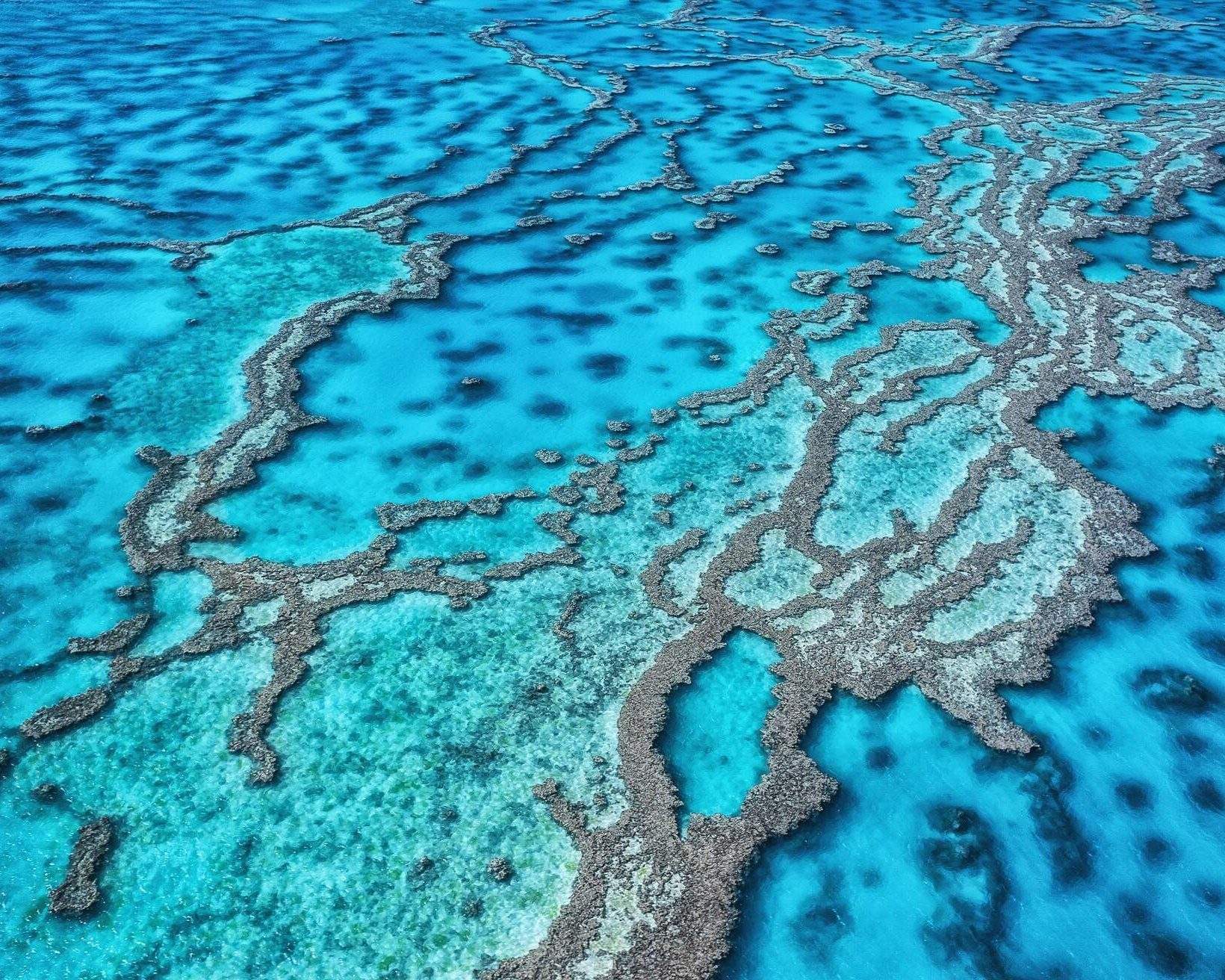 Discover the most fun facts about Australia - KAYAK