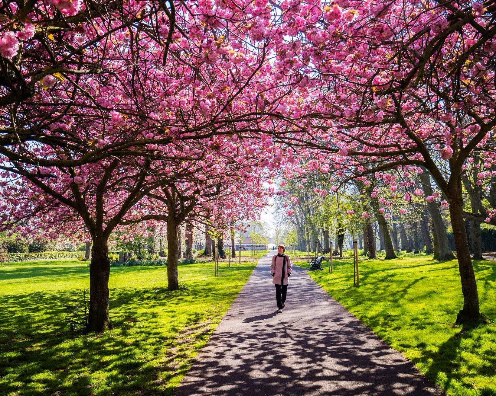 Gay in Dublin: Everything LGBTQ travelers need to know - KAYAK