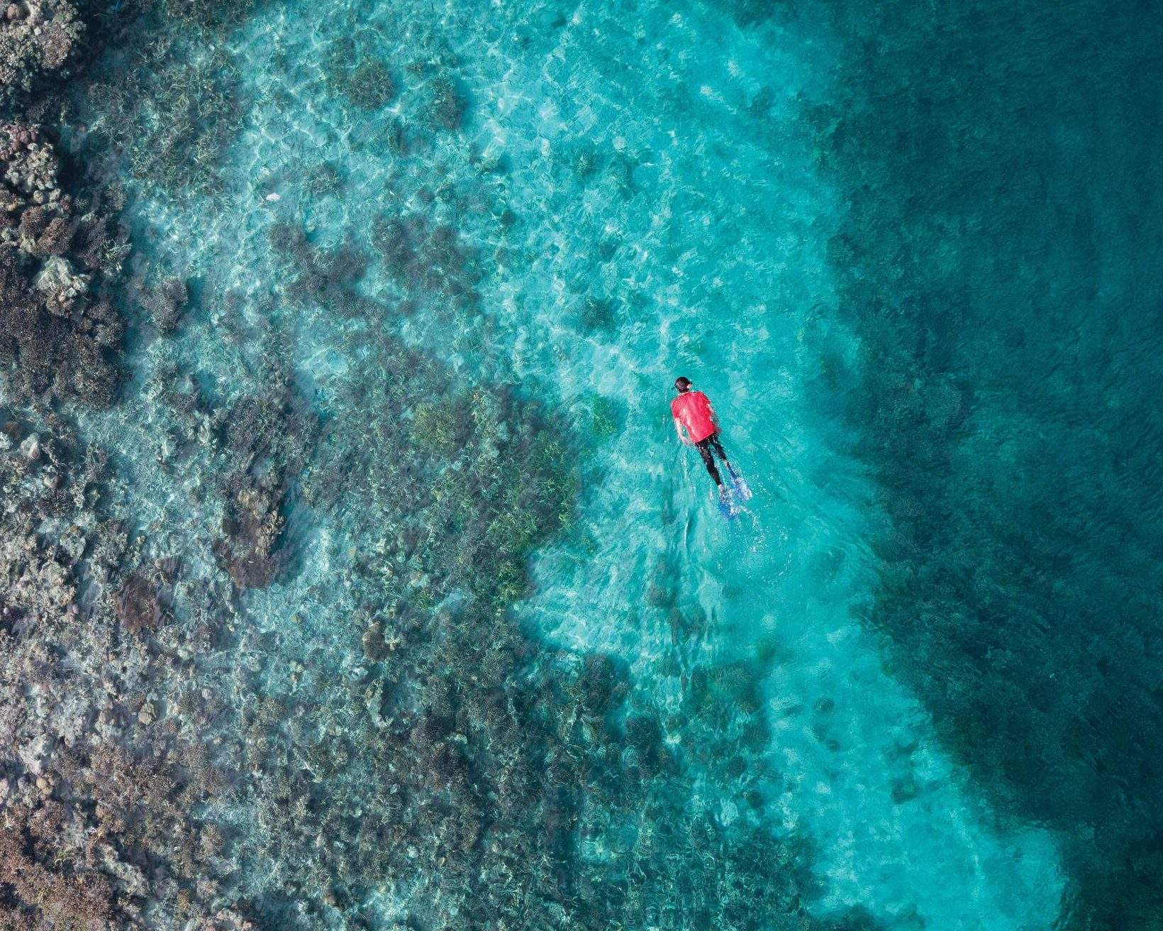 Create memories with our list of 20 things to do in Bali - KAYAK