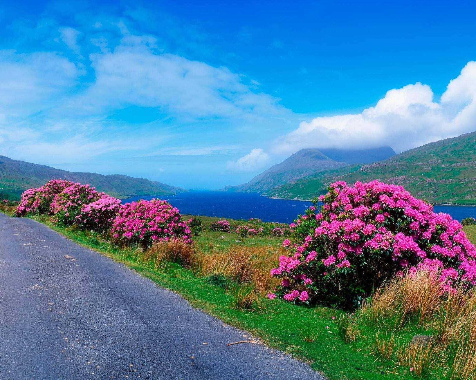 An expedition of some of the best places to visit in Ireland - KAYAK