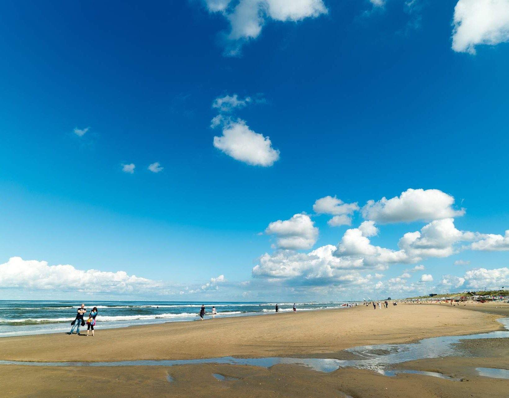 Day trips from Amsterdam: Beaches and bulbs - KAYAK