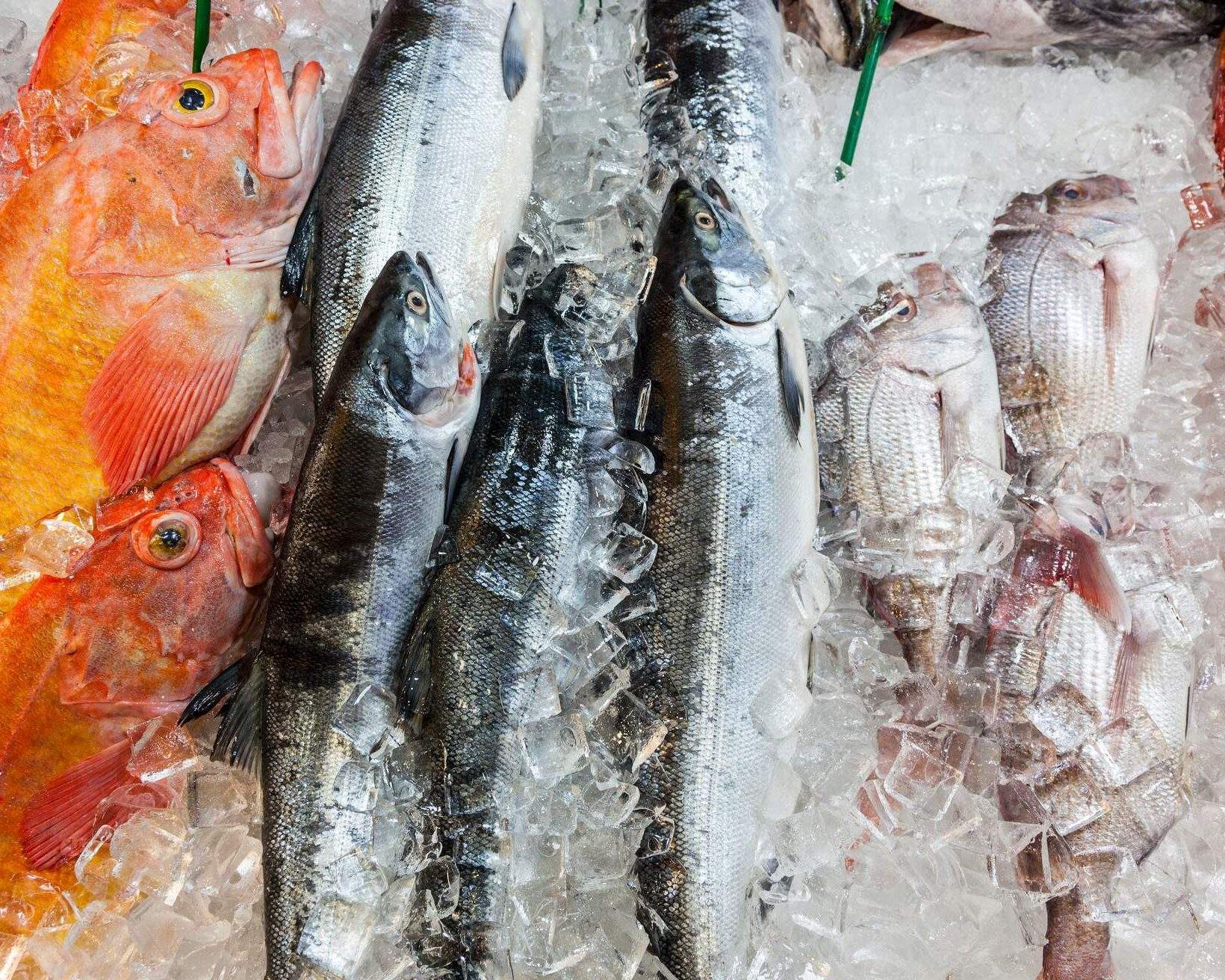 All you need to know about visiting Canada in winter - KAYAK