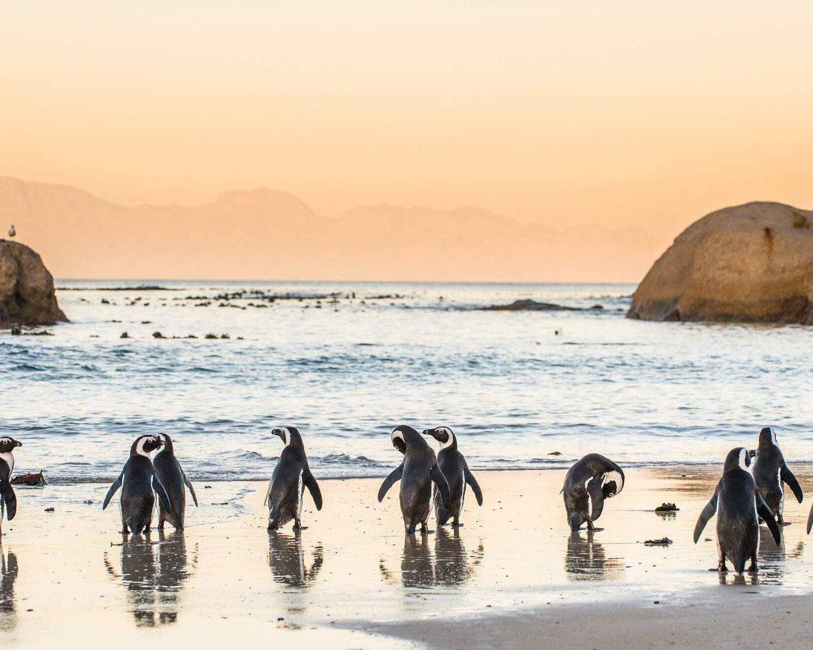 Winter sun: 10 warm places to visit in December - KAYAK