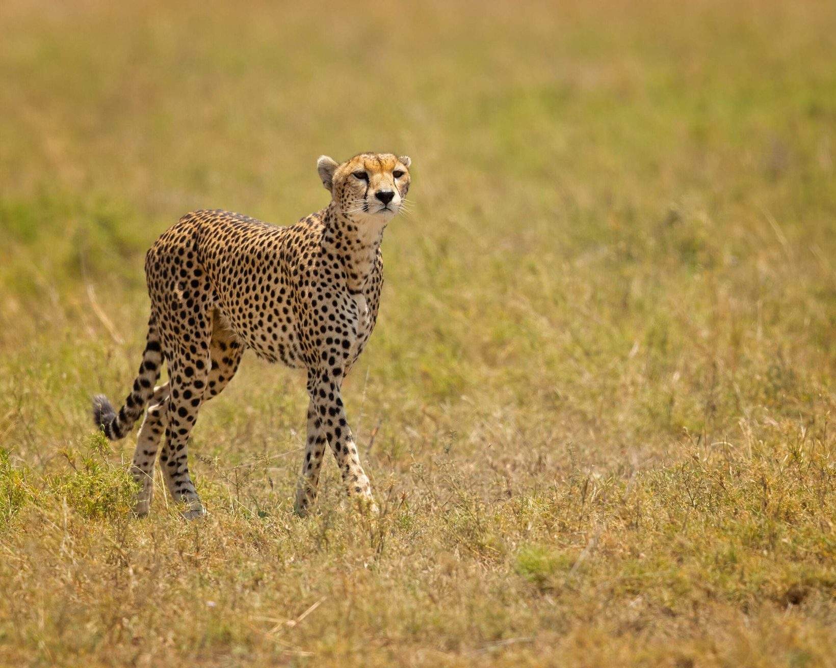 Best places to visit in January in the US & abroad 2025 - KAYAK