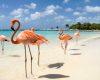 The 10 best warm places to visit in February 2024 - KAYAK