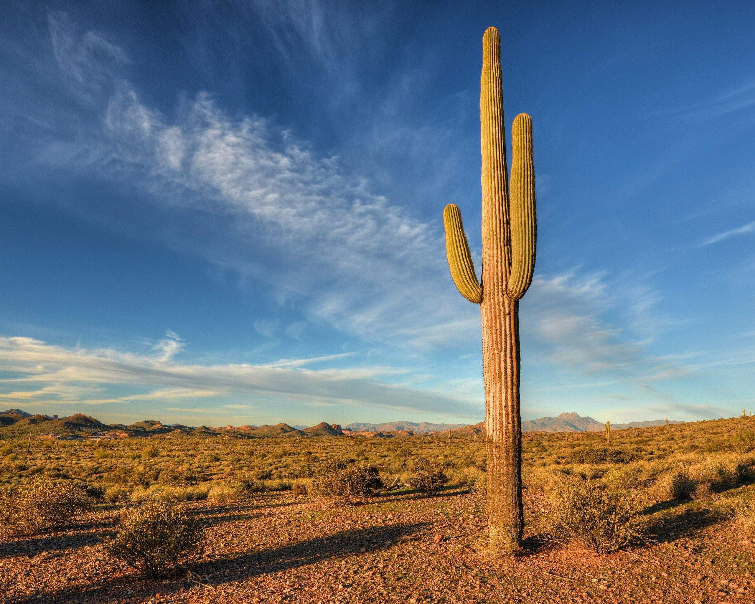 The 10 best warm places to visit in February 2024 - KAYAK