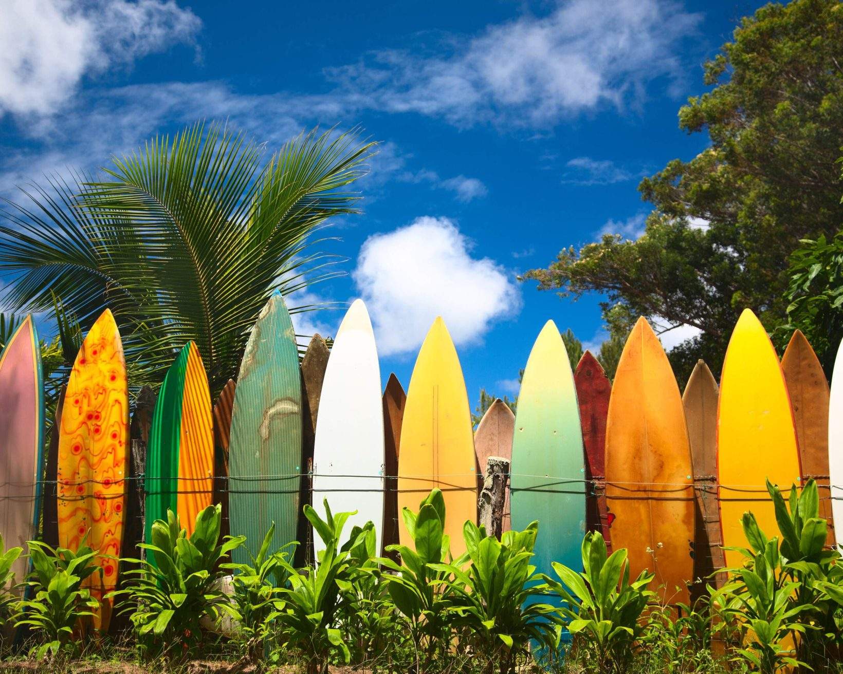 The 10 best warm places to visit in March 2025 - KAYAK