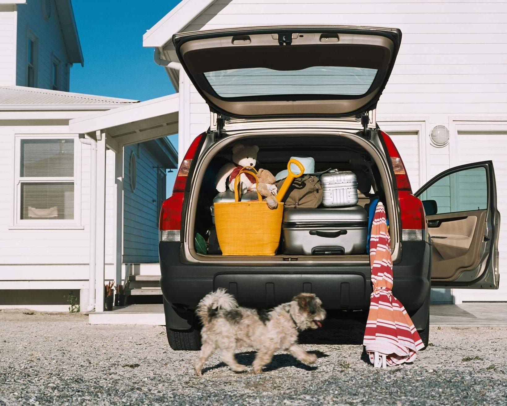 How does car rental work: a step-by-step guide | KAYAK