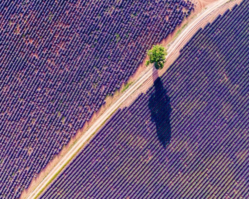 How does car rental work: a step-by-step guide | KAYAK