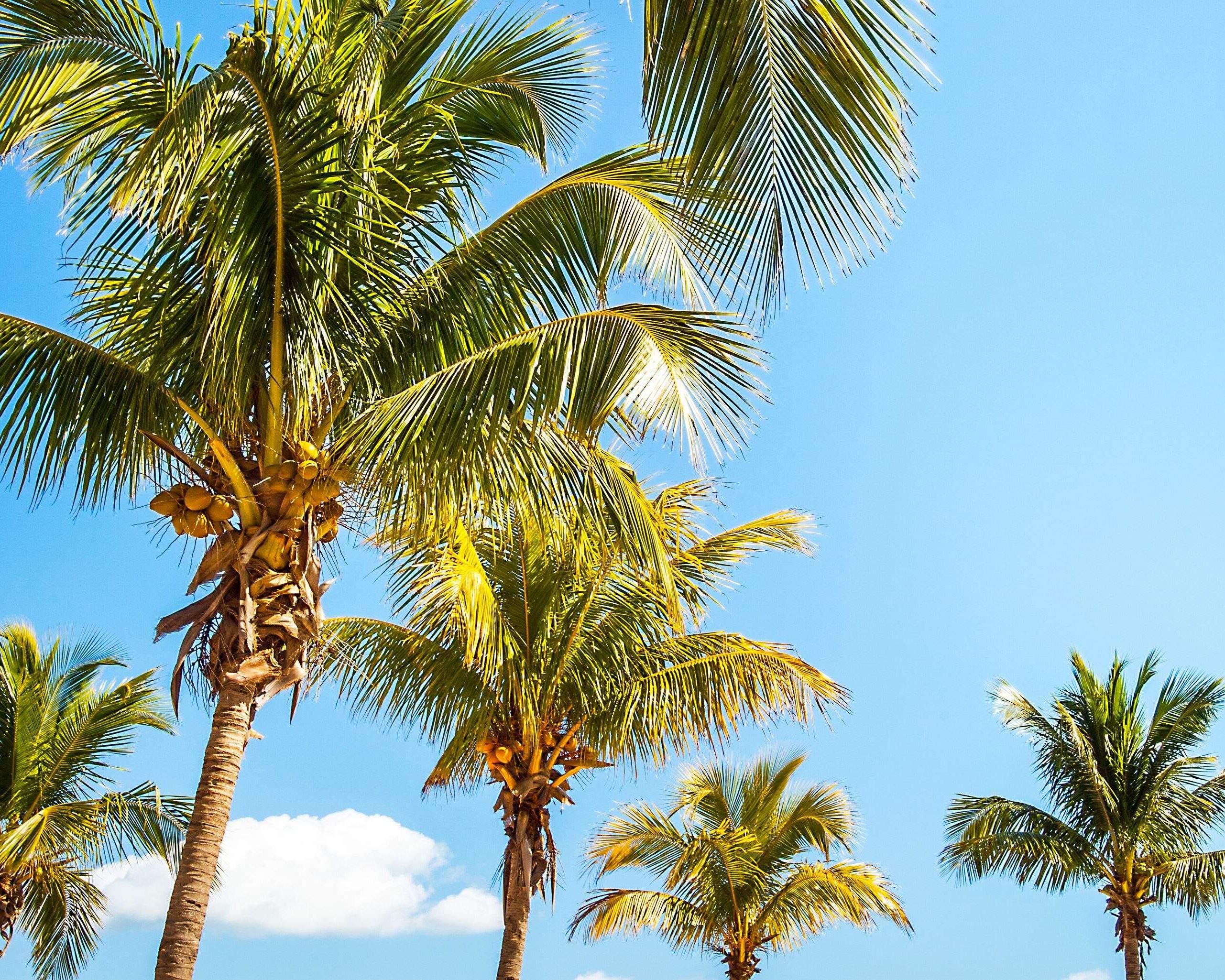 10 cheap beach vacations for an affordable vacation | KAYAK