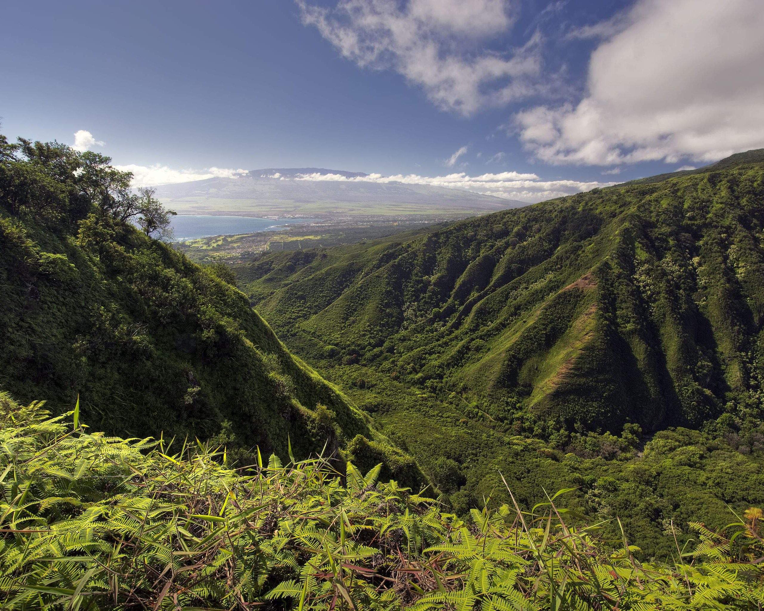 A complete guide to Hawaii airports | KAYAK