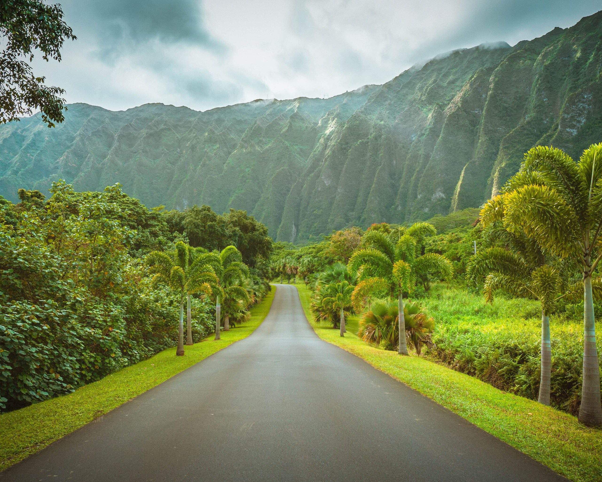 The best time to go to Hawaii: A complete guide - KAYAK