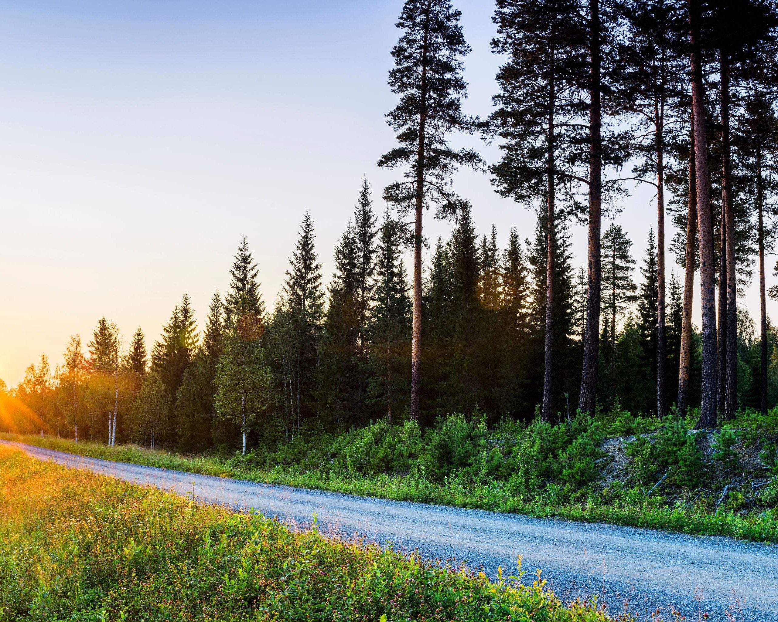 A wonderful Sweden road trip itinerary | KAYAK
