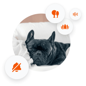 The KAYAK sleep tourism guide.