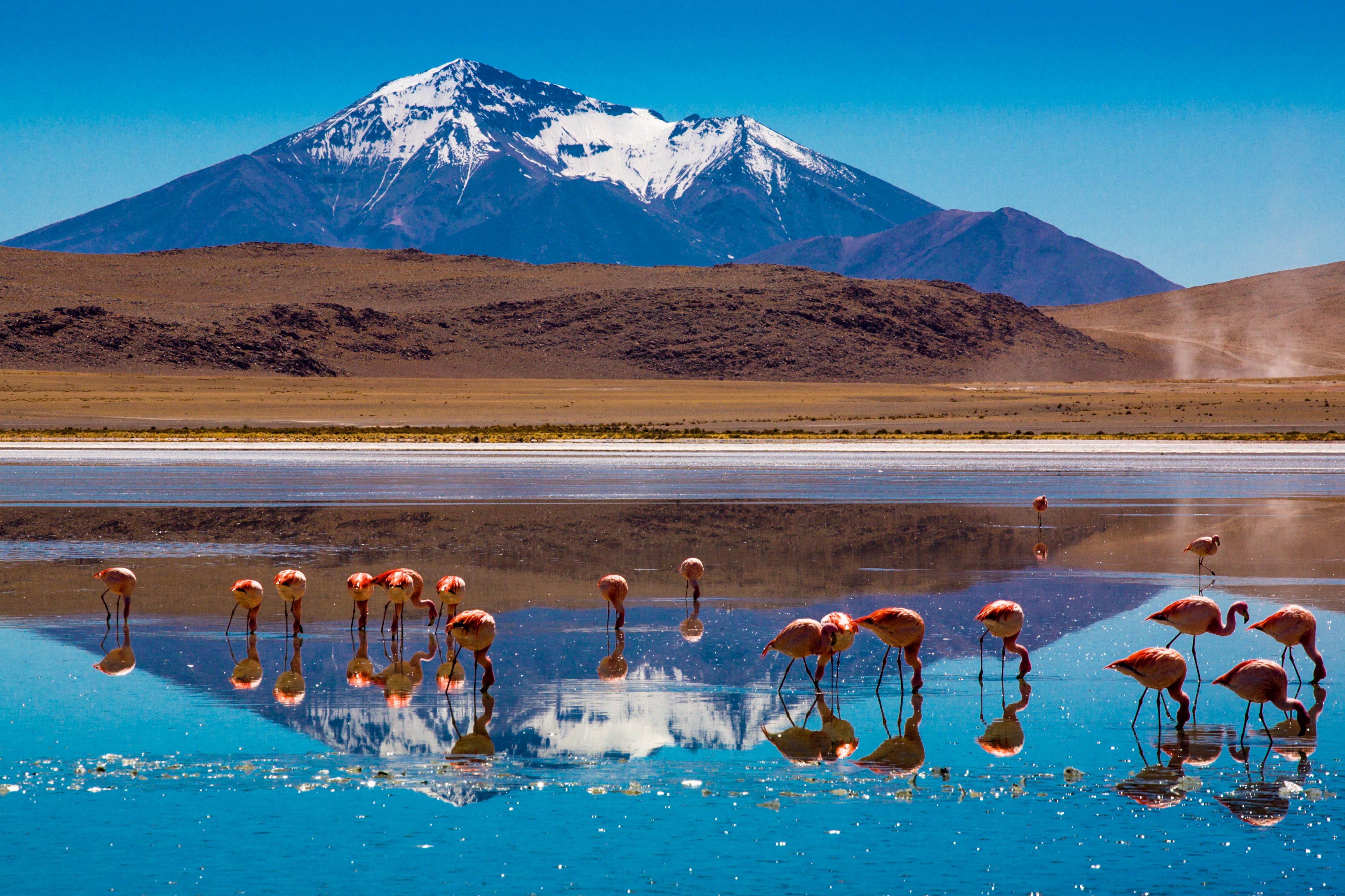 Cheap Flights to Uyuni - KAYAK