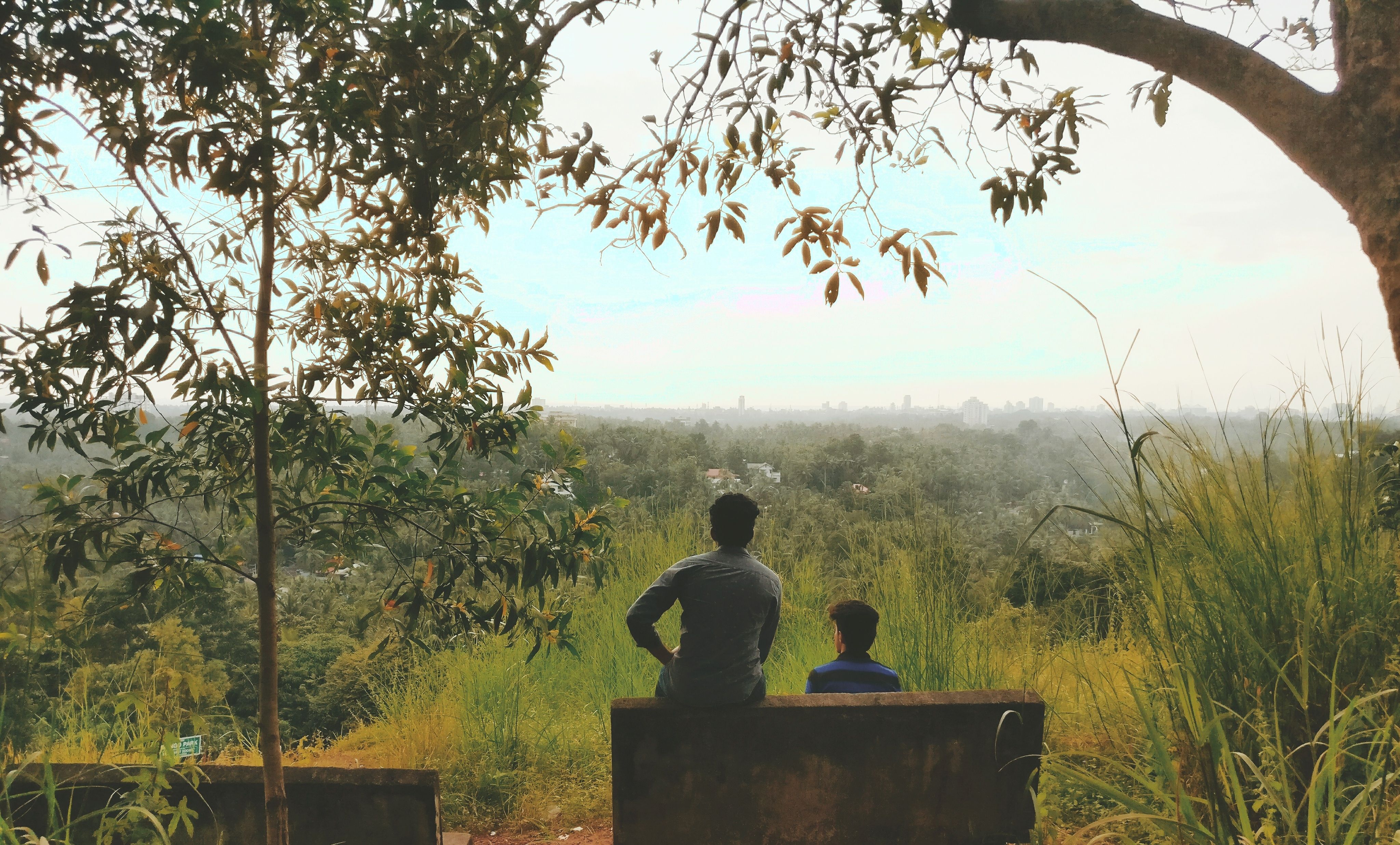 $88 CHEAP FLIGHTS from Doha to Kozhikode (DOH - CCJ) | KAYAK