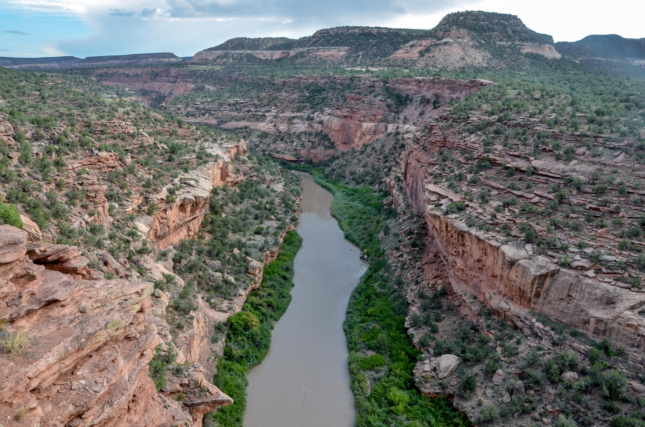 car-rental-montrose-colorado-from-35-day-search-for-rental-cars-on