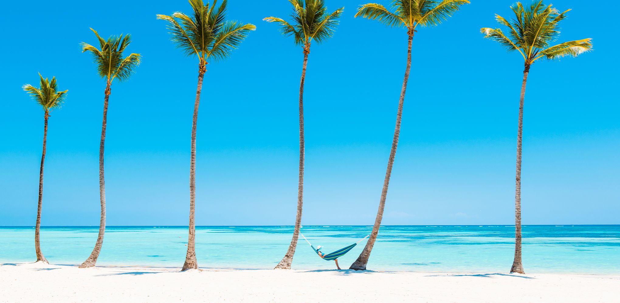 Encuentra vuelos baratos | KAYAK