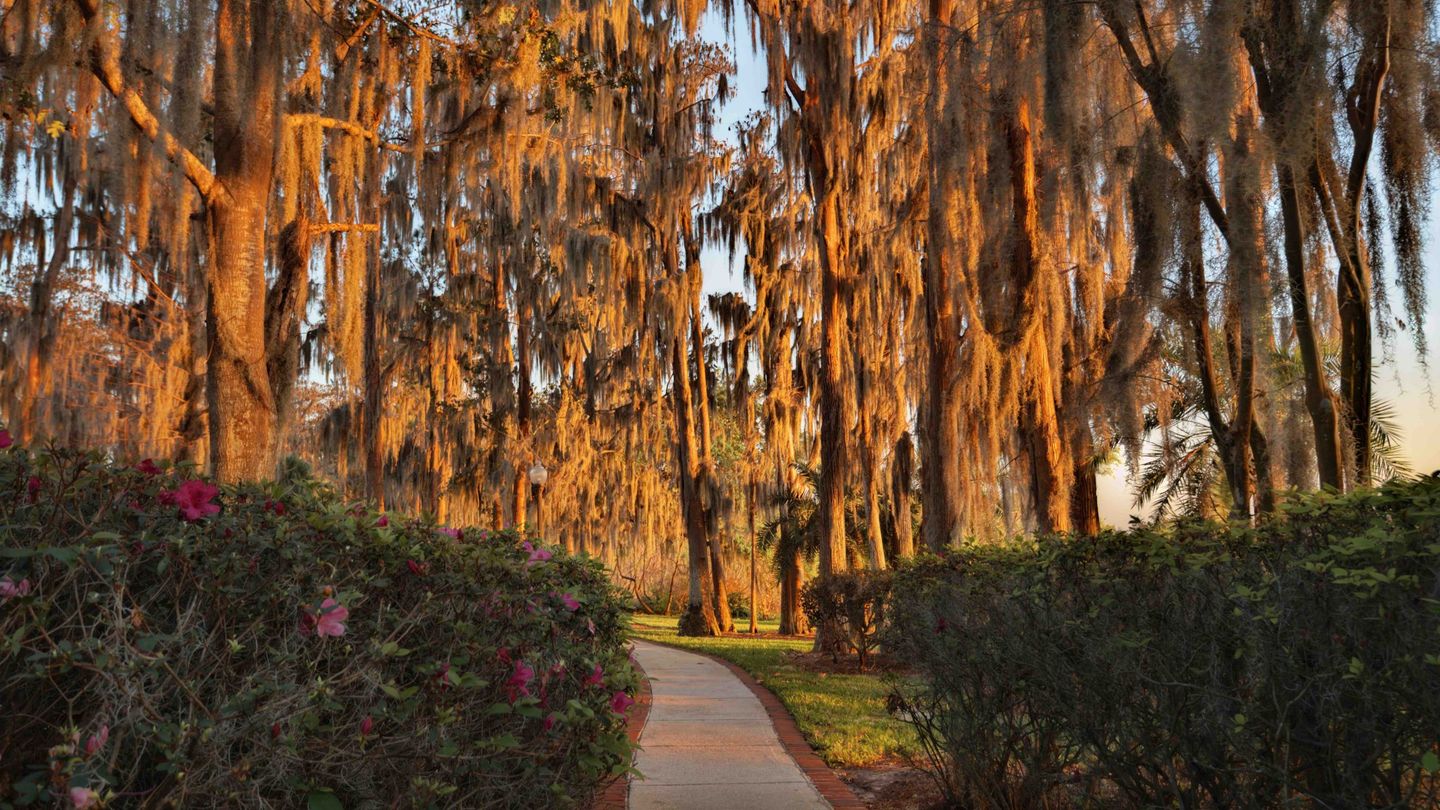 Orlando Travel Guide | Orlando Tourism - KAYAK